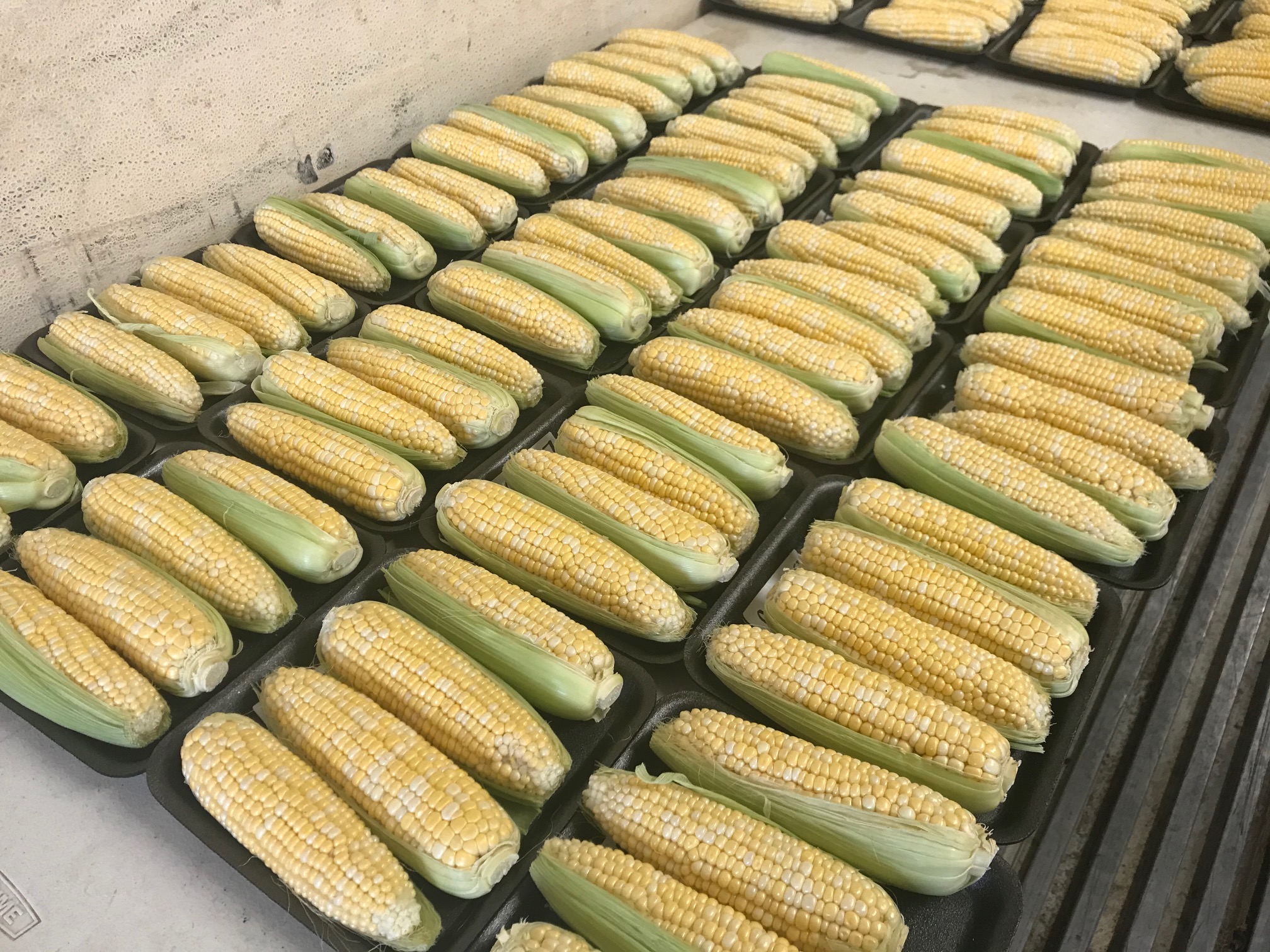 Agriculture consulting services: Agri-Technologies, Inc., a Clinton ...