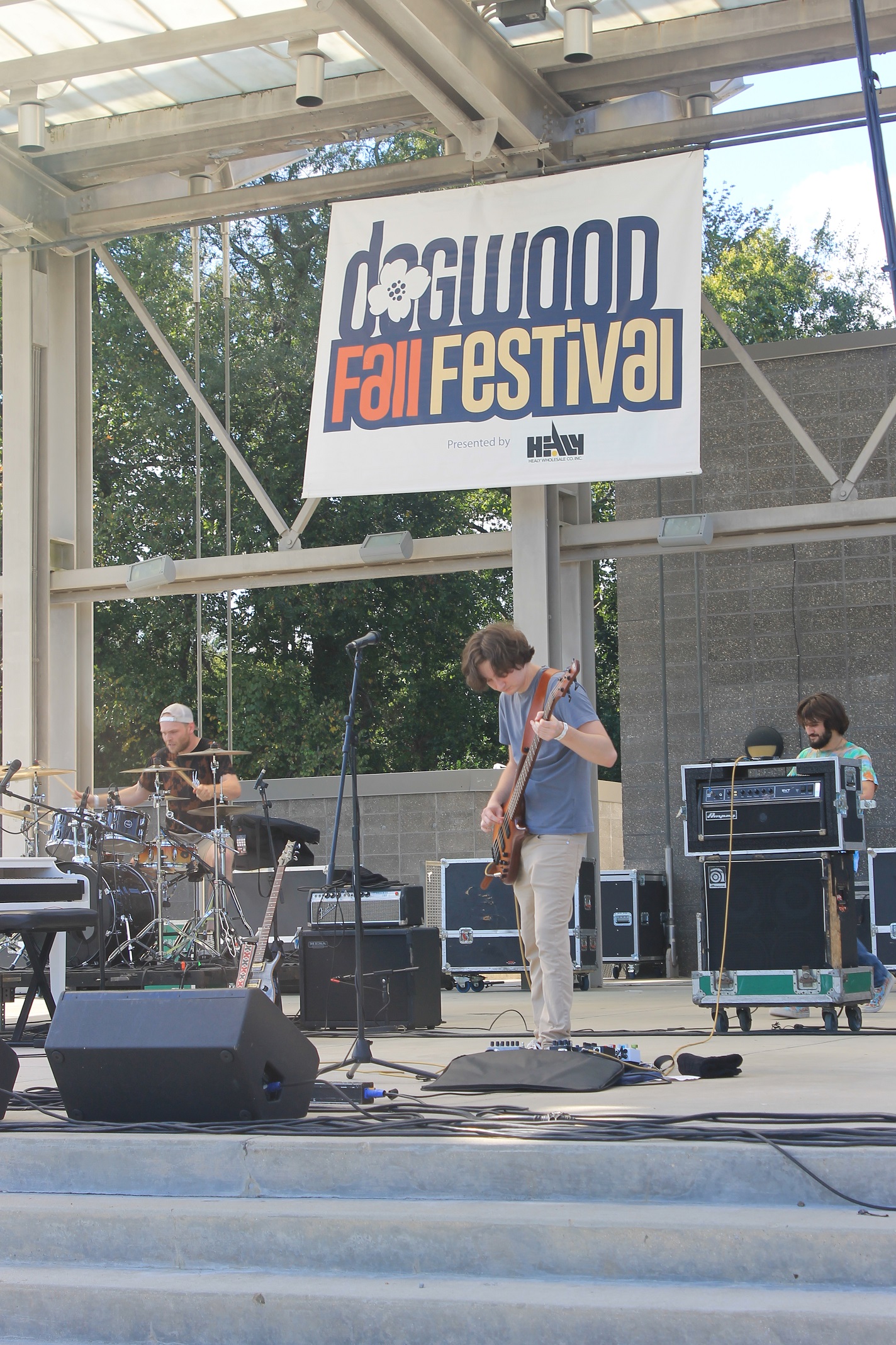 Dogwood Fall Festival: The Fayetteville Dogwood Fall Festival is ...